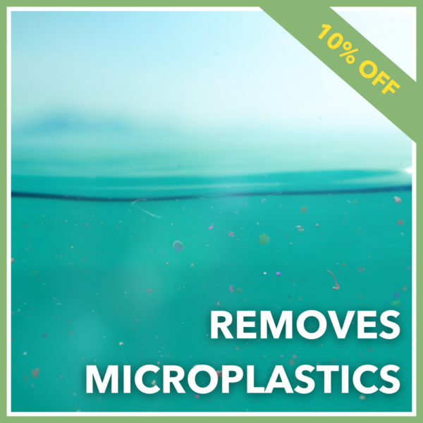 ZEST - Water for Life - Catherine Edwards