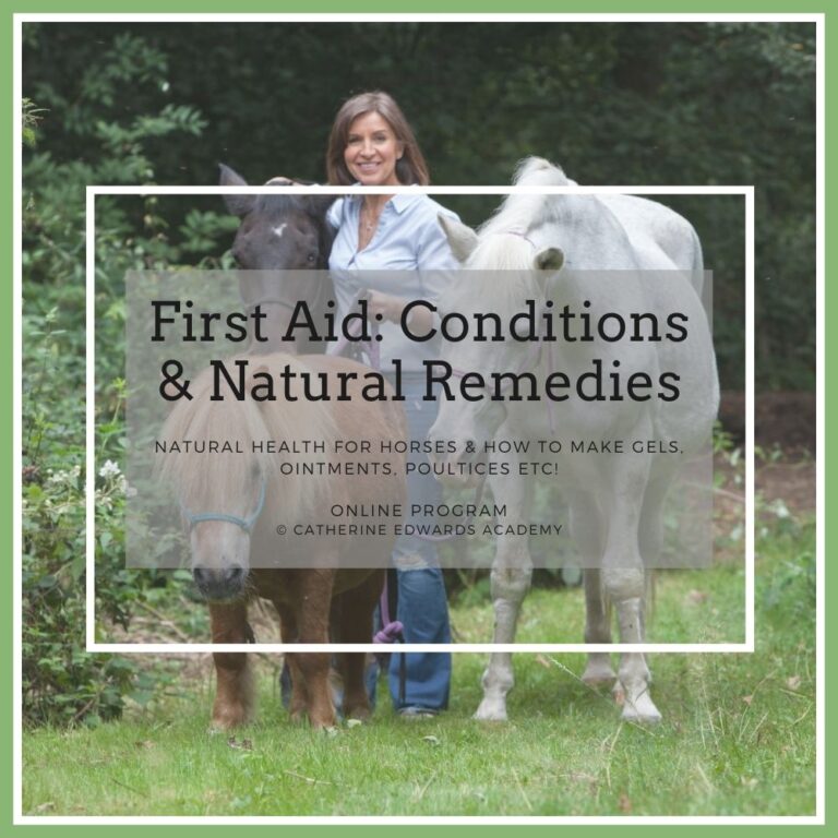 Natural First Aid for Horses - Online Course - Catherine Edwards