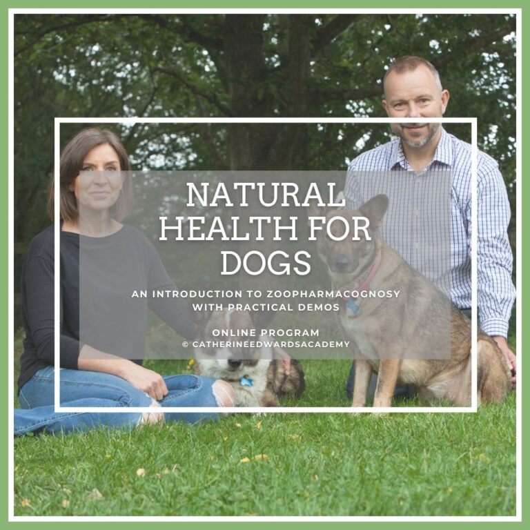 Products - Catherine Edwards