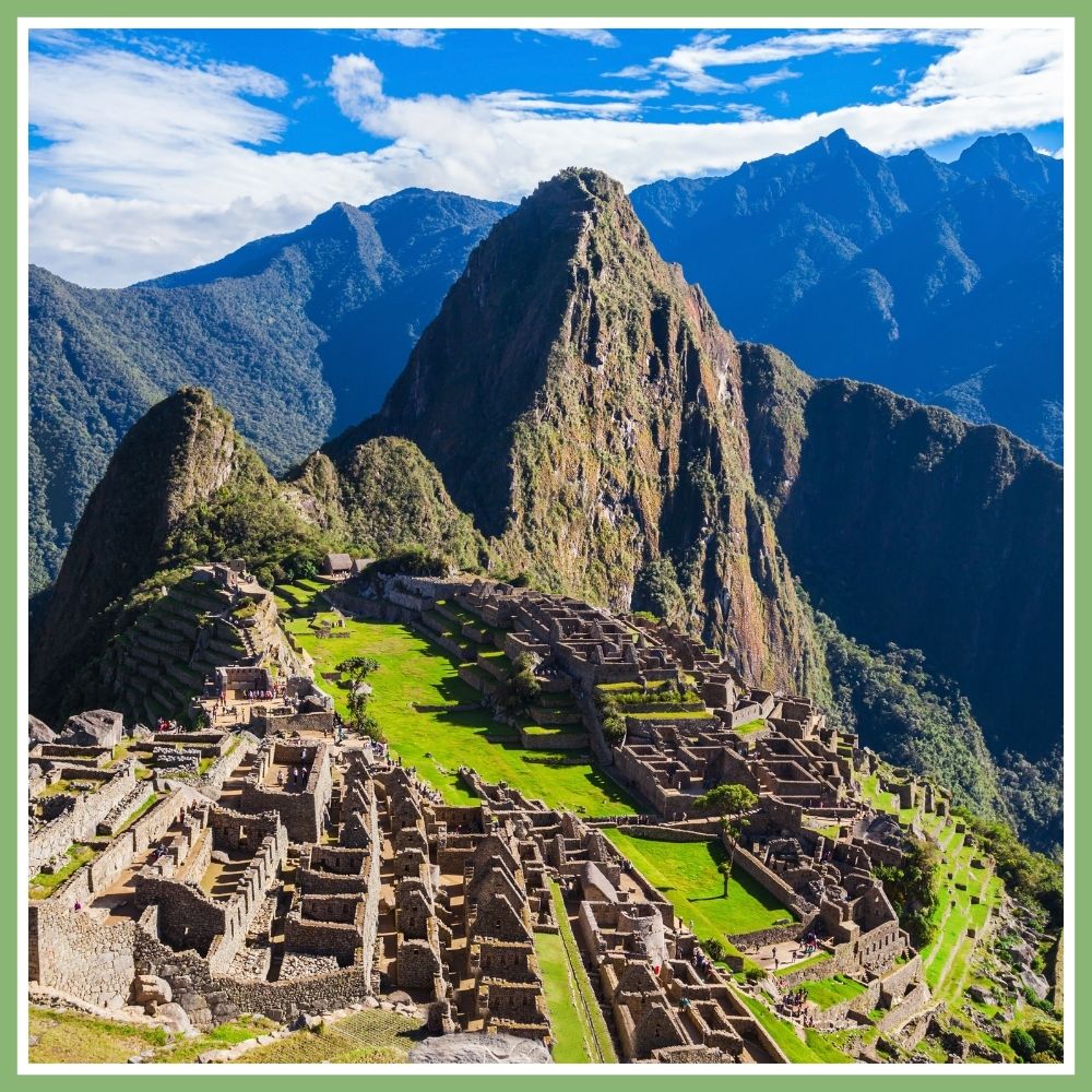 FLFE | Focused Life-Force Energy | Catherine Edwards