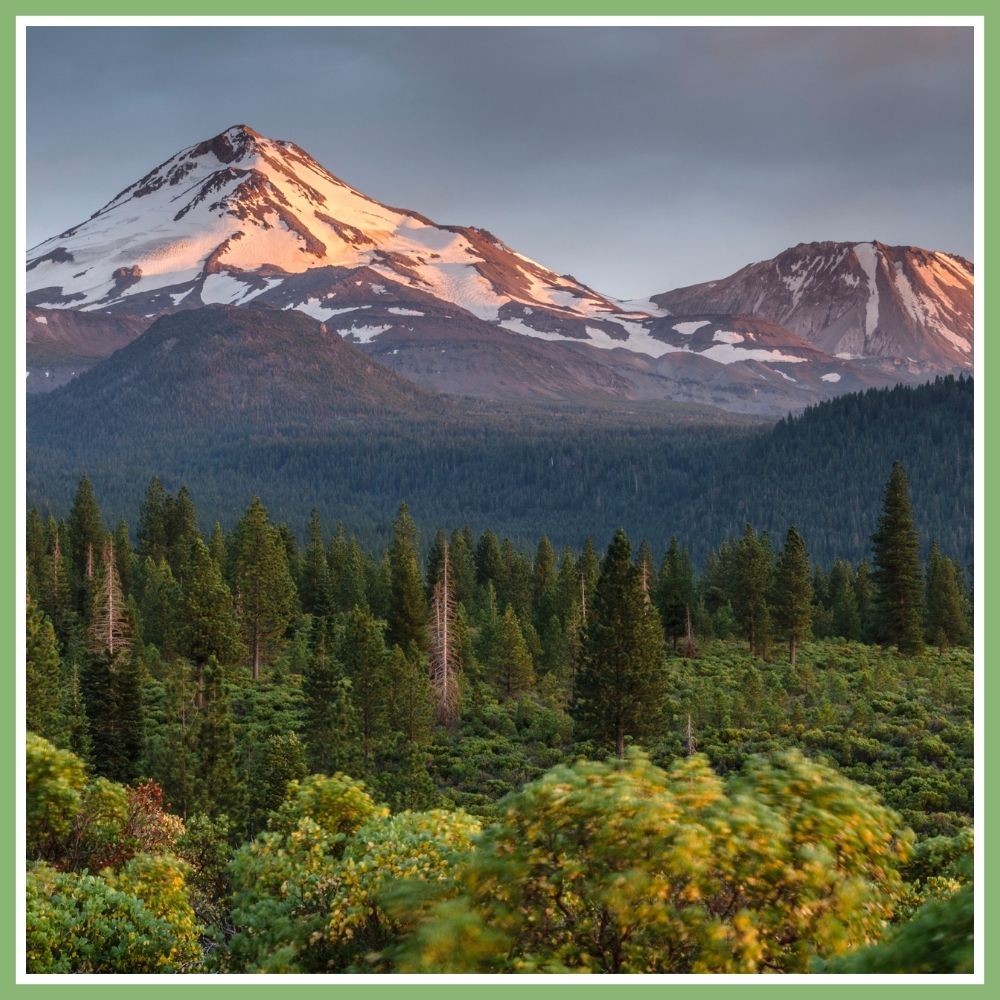 FLFE | Focused Life-Force Energy | Catherine Edwards